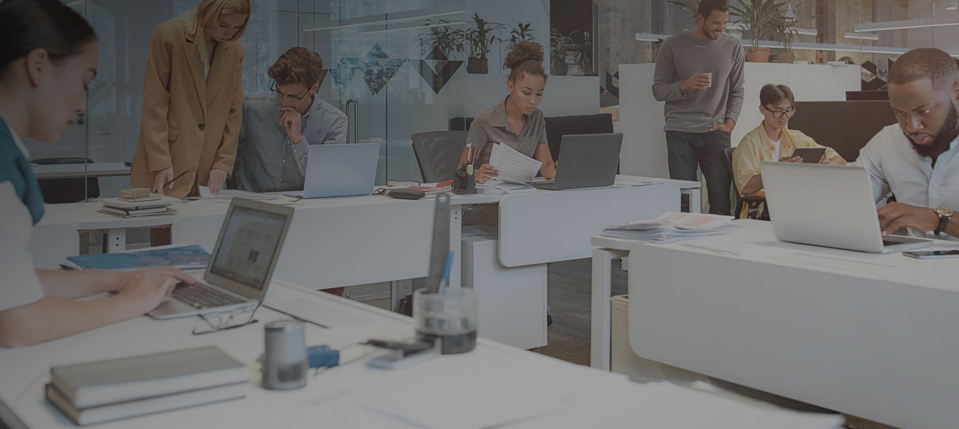 FTD Infocom Pvt Ltd.